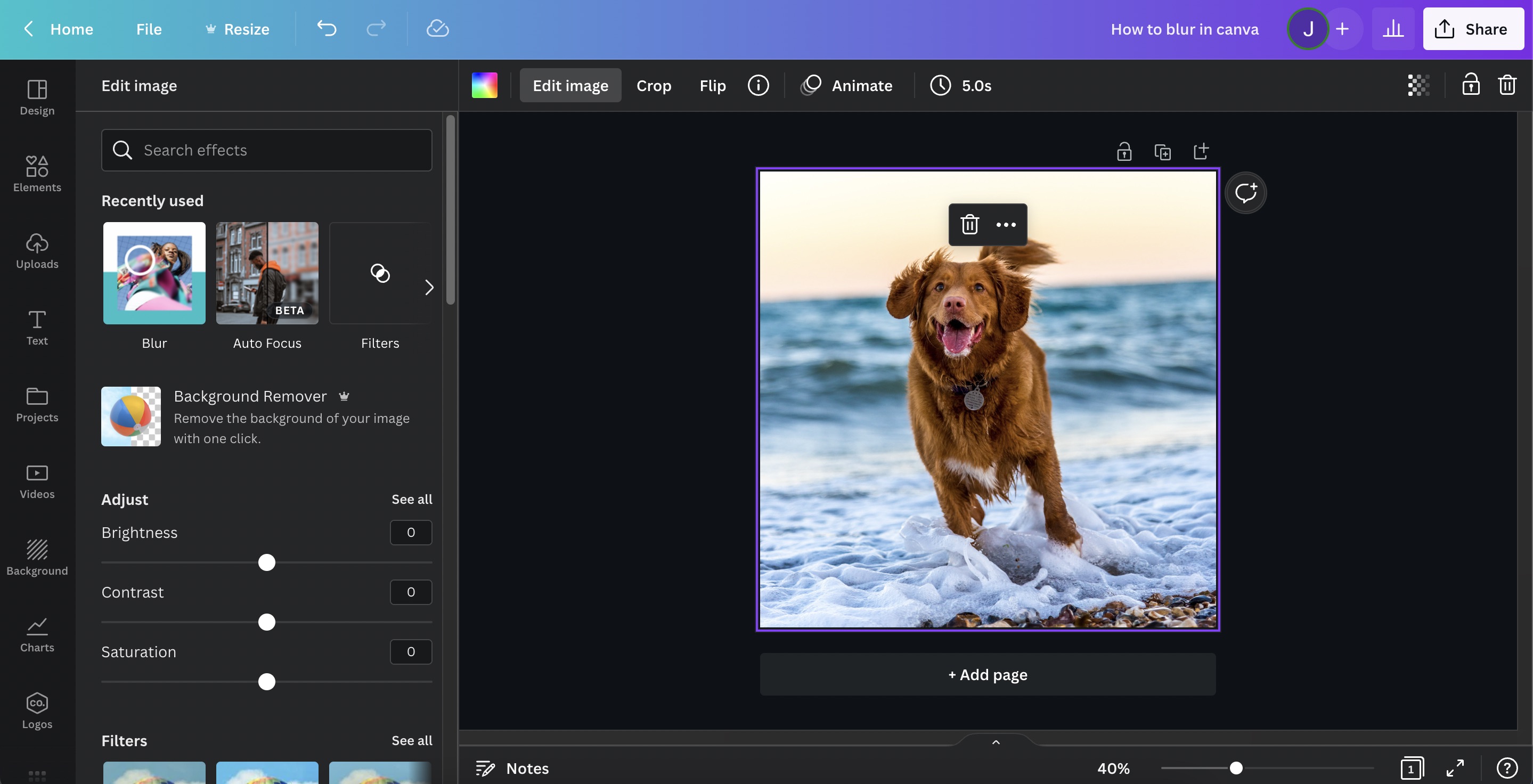How To Blur In Canva Photos Texts Backgrounds Xenyo